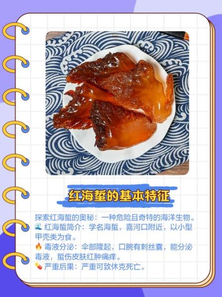 海蜇皮的营养价值_海蜇皮的功效与作用-第1张图片-山城妙识 海蜇皮的营养价值_海蜇皮的功效与作用-第1张图片-山城妙识