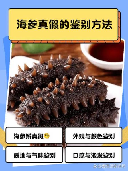 野生海参怎么辨别真假_野生海参多少钱一斤-第2张图片-山城妙识 野生海参怎么辨别真假_野生海参多少钱一斤-第2张图片-山城妙识