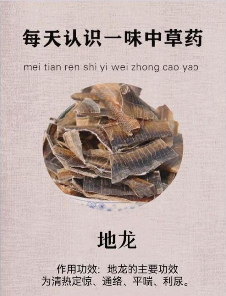 蚯蚓有什么用_蚯蚓有哪些经济价值-第1张图片-山城妙识