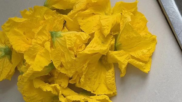 丝瓜花的功效与作用_丝瓜花怎么吃效果最好-第3张图片-山城妙识 丝瓜花的功效与作用_丝瓜花怎么吃效果最好-第3张图片-山城妙识