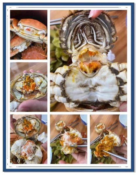 阳澄湖大闸蟹怎么吃_清蒸步骤图解-第3张图片-山城妙识 阳澄湖大闸蟹怎么吃_清蒸步骤图解-第3张图片-山城妙识