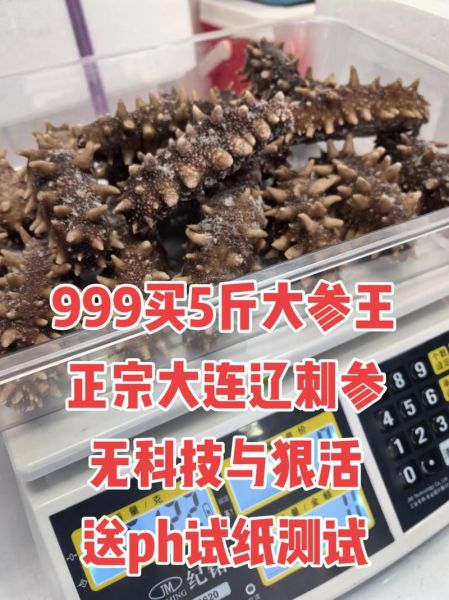 全国最大的海参批发市场在哪里_如何挑选优质海参-第3张图片-山城妙识