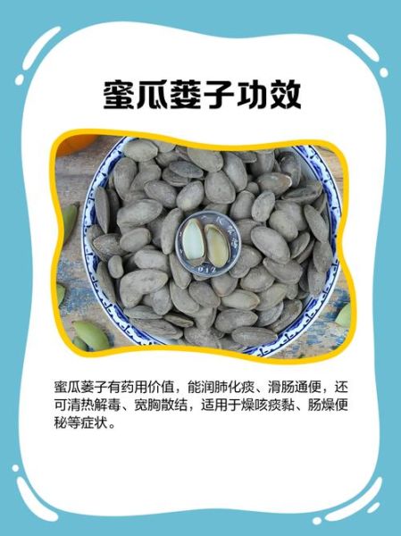 瓜蒌子是什么_瓜蒌子的功效与作用-第1张图片-山城妙识