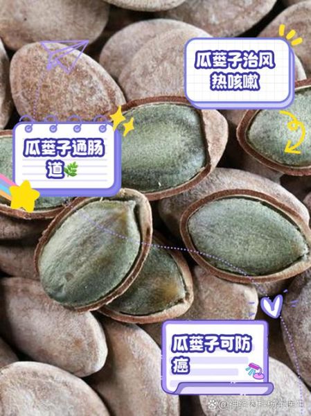 瓜蒌子是什么_瓜蒌子的功效与作用-第3张图片-山城妙识