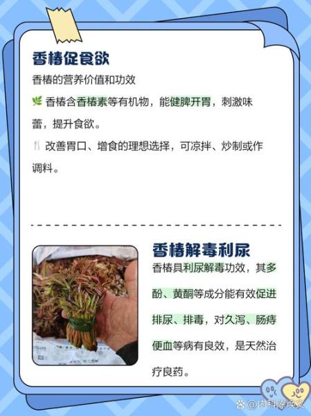 女人吃香椿有什么好处_香椿对女性的营养价值-第2张图片-山城妙识