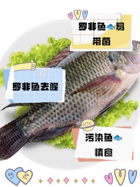 罗非鱼寄生虫多吗_如何安全食用罗非鱼-第3张图片-山城妙识 罗非鱼寄生虫多吗_如何安全食用罗非鱼-第3张图片-山城妙识