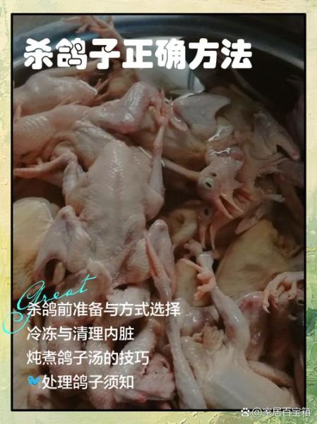 鸽子怎么杀是正确的_杀鸽子前需要准备什么-第1张图片-山城妙识 鸽子怎么杀是正确的_杀鸽子前需要准备什么-第1张图片-山城妙识