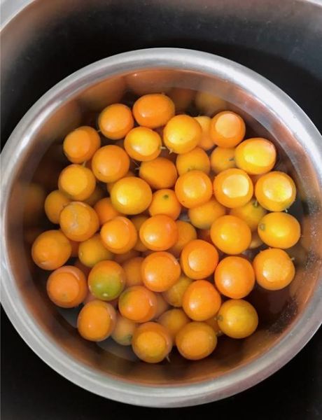 金桔怎么熬制治咳嗽_金桔止咳做法-第2张图片-山城妙识