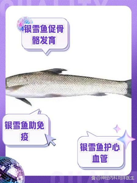 雪鱼多少钱一斤_雪鱼价格最新行情-第2张图片-山城妙识 雪鱼多少钱一斤_雪鱼价格最新行情-第2张图片-山城妙识