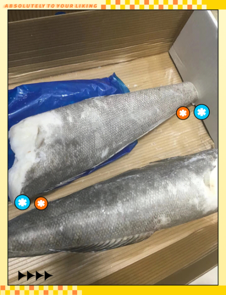 雪鱼多少钱一斤_雪鱼价格最新行情-第3张图片-山城妙识 雪鱼多少钱一斤_雪鱼价格最新行情-第3张图片-山城妙识