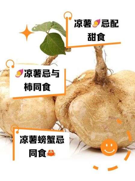 凉薯的功效与作用及禁忌_凉薯可以生吃吗-第1张图片-山城妙识 凉薯的功效与作用及禁忌_凉薯可以生吃吗-第1张图片-山城妙识