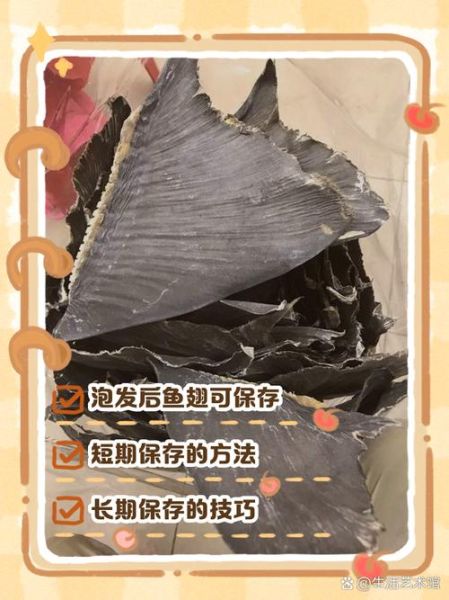 干鱼翅怎么泡发图解_干鱼翅泡发多久才软-第1张图片-山城妙识 干鱼翅怎么泡发图解_干鱼翅泡发多久才软-第1张图片-山城妙识