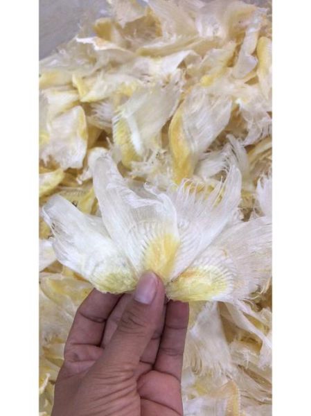 干鱼翅怎么泡发图解_干鱼翅泡发多久才软-第3张图片-山城妙识 干鱼翅怎么泡发图解_干鱼翅泡发多久才软-第3张图片-山城妙识