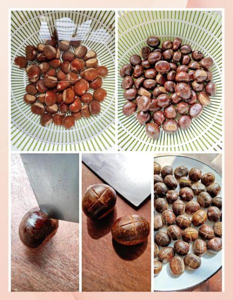 板栗怎么煮好剥壳又好吃_板栗煮多久才软糯香甜-第2张图片-山城妙识 板栗怎么煮好剥壳又好吃_板栗煮多久才软糯香甜-第2张图片-山城妙识