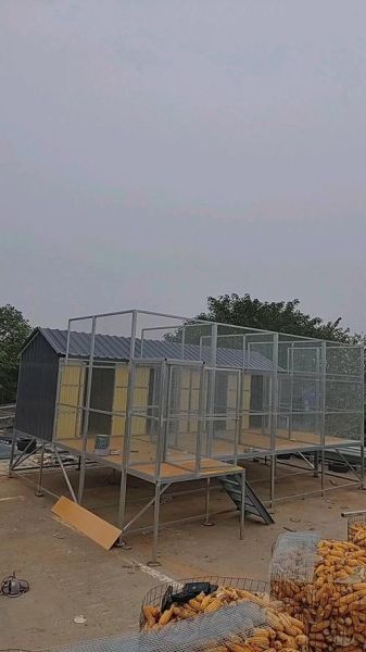 现代化鸽子养殖大棚怎么建_鸽子养殖大棚成本多少钱-第2张图片-山城妙识 现代化鸽子养殖大棚怎么建_鸽子养殖大棚成本多少钱-第2张图片-山城妙识