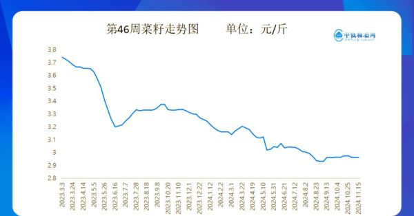 菜油期货价格走势分析_菜油期货还会涨吗-第1张图片-山城妙识