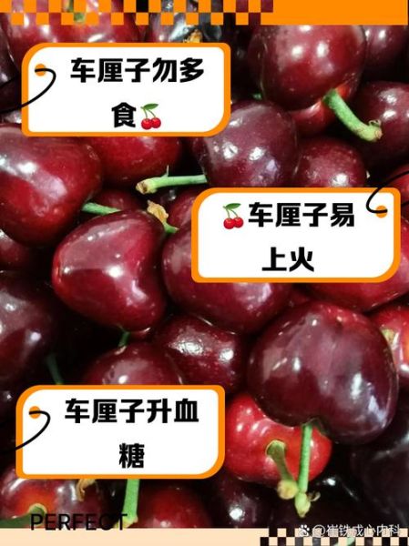 车厘子每天吃多少合适_车厘子吃多了会怎样-第2张图片-山城妙识 车厘子每天吃多少合适_车厘子吃多了会怎样-第2张图片-山城妙识