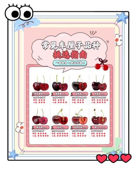 车厘子每天吃多少合适_车厘子吃多了会怎样-第3张图片-山城妙识 车厘子每天吃多少合适_车厘子吃多了会怎样-第3张图片-山城妙识