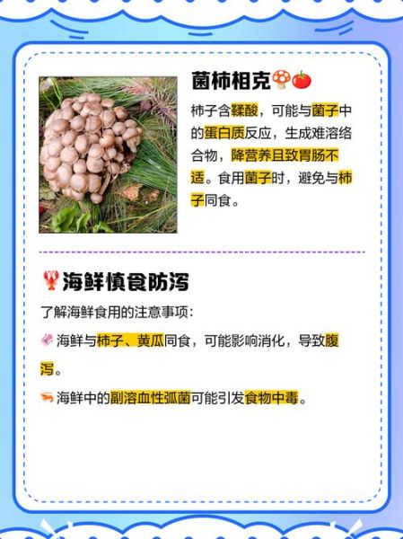 蘑菇不能和什么一起吃_蘑菇相克食物有哪些-第1张图片-山城妙识