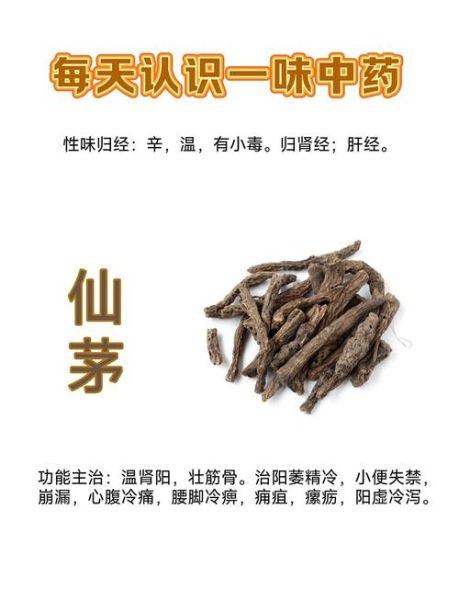 仙茅的功效与作用_仙茅怎么吃效果最好-第1张图片-山城妙识 仙茅的功效与作用_仙茅怎么吃效果最好-第1张图片-山城妙识