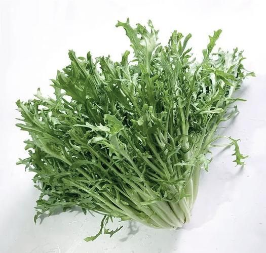 菊花菜和茼蒿的区别_哪个更好吃-第2张图片-山城妙识