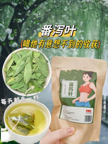 长期喝番泻叶会致癌吗_番泻叶副作用有哪些-第2张图片-山城妙识 长期喝番泻叶会致癌吗_番泻叶副作用有哪些-第2张图片-山城妙识