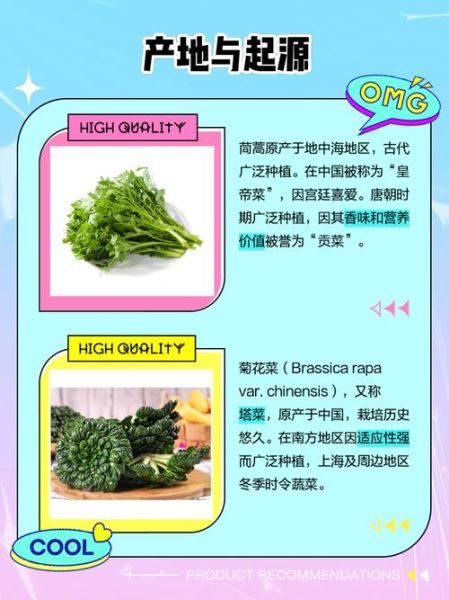 菊花菜和茼蒿的区别_哪个更好吃-第1张图片-山城妙识