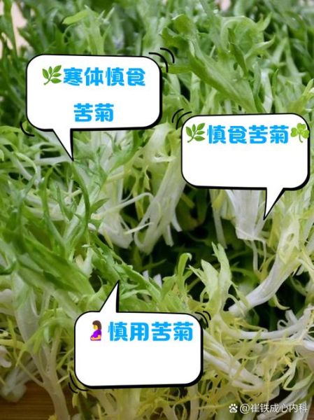 菊花菜和茼蒿的区别_哪个更好吃-第3张图片-山城妙识