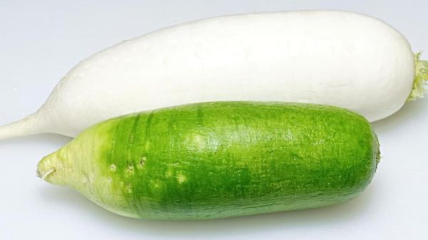 萝卜视频脖起来才有劲_怎么玩才更爽-第2张图片-山城妙识