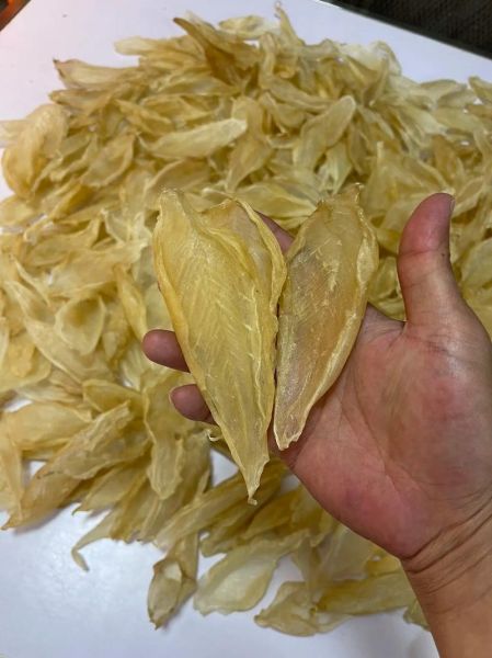 白花胶多少钱一斤_白花胶价格影响因素-第1张图片-山城妙识