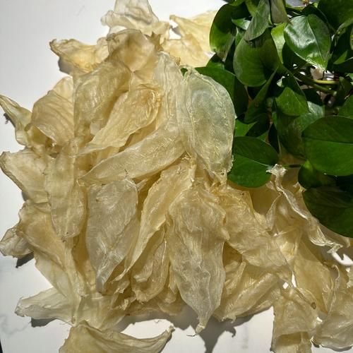 白花胶多少钱一斤_白花胶价格影响因素-第3张图片-山城妙识