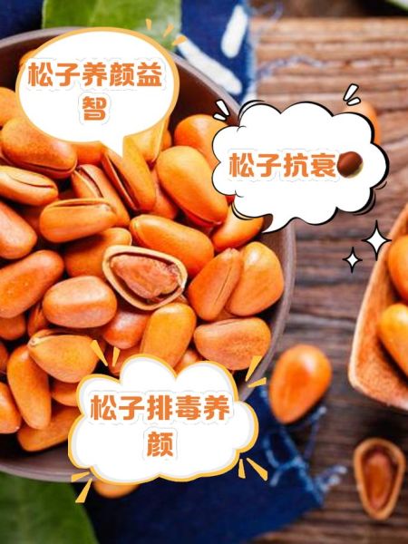 松子一天吃多少合适_松子吃多了会怎样-第1张图片-山城妙识 松子一天吃多少合适_松子吃多了会怎样-第1张图片-山城妙识