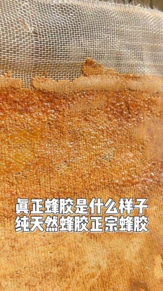 蜂胶胶囊是骗局吗_如何辨别真假蜂胶-第3张图片-山城妙识 蜂胶胶囊是骗局吗_如何辨别真假蜂胶-第3张图片-山城妙识