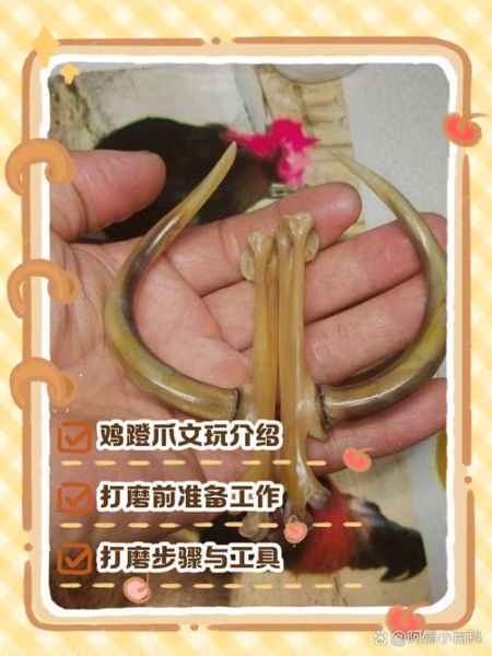 鸡爪子文玩怎么盘_鸡爪子文玩多少钱-第1张图片-山城妙识 鸡爪子文玩怎么盘_鸡爪子文玩多少钱-第1张图片-山城妙识