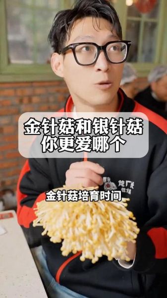 金针菇和银针菇的区别_哪个更好吃-第3张图片-山城妙识 金针菇和银针菇的区别_哪个更好吃-第3张图片-山城妙识