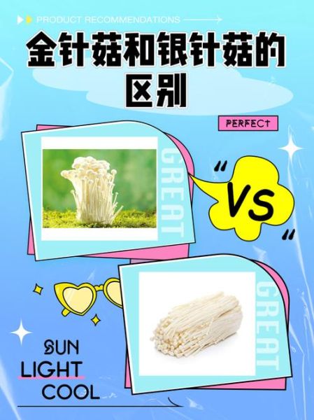 金针菇和银针菇的区别_哪个更好吃-第1张图片-山城妙识 金针菇和银针菇的区别_哪个更好吃-第1张图片-山城妙识