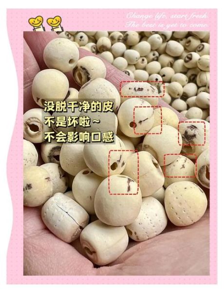 银耳莲子羹用什么莲子_湘莲建莲区别-第1张图片-山城妙识 银耳莲子羹用什么莲子_湘莲建莲区别-第1张图片-山城妙识