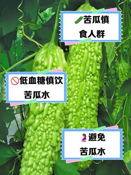 长期喝苦瓜汁好不好_长期喝苦瓜汁的副作用-第2张图片-山城妙识
