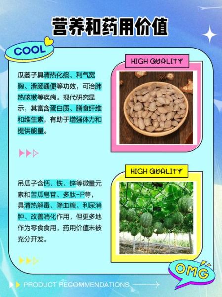 吊瓜子是什么瓜_吊瓜子产地与功效-第1张图片-山城妙识 吊瓜子是什么瓜_吊瓜子产地与功效-第1张图片-山城妙识