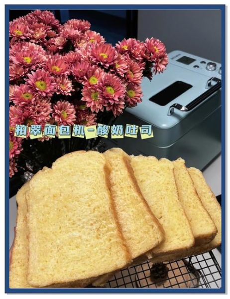 自动面包机怎么做酸奶_面包机做酸奶失败原因-第1张图片-山城妙识 自动面包机怎么做酸奶_面包机做酸奶失败原因-第1张图片-山城妙识