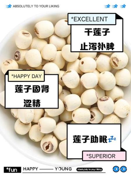 干莲子怎么吃最好_干莲子有哪些禁忌-第2张图片-山城妙识