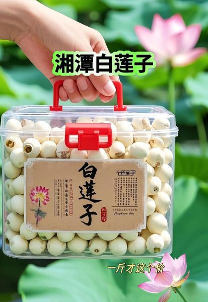 莲子多少钱一斤_莲子价格为什么差别大-第1张图片-山城妙识 莲子多少钱一斤_莲子价格为什么差别大-第1张图片-山城妙识