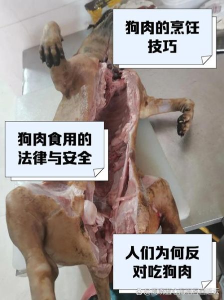 狗肉怎么炖才香_狗肉去腥技巧-第2张图片-山城妙识 狗肉怎么炖才香_狗肉去腥技巧-第2张图片-山城妙识