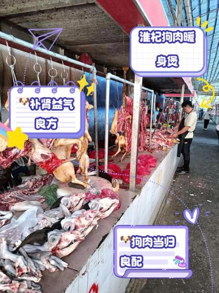 狗肉怎么炖才香_狗肉去腥技巧-第3张图片-山城妙识 狗肉怎么炖才香_狗肉去腥技巧-第3张图片-山城妙识