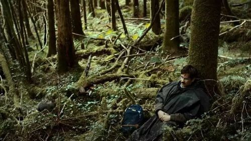 龙虾电影剧情解析_结局什么意思-第3张图片-山城妙识 龙虾电影剧情解析_结局什么意思-第3张图片-山城妙识