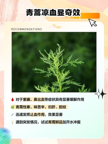 青蒿素是什么药_青蒿素的作用与功效-第1张图片-山城妙识