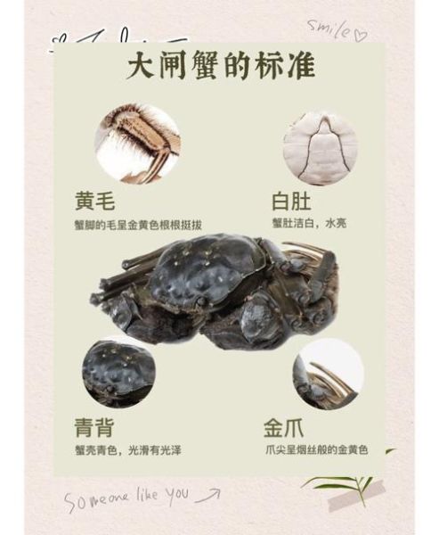 阳澄湖大闸蟹如何保存_能放几天-第3张图片-山城妙识 阳澄湖大闸蟹如何保存_能放几天-第3张图片-山城妙识