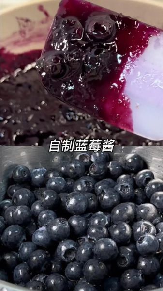 蓝莓酱怎么吃_蓝莓酱吃法大全窍门-第1张图片-山城妙识 蓝莓酱怎么吃_蓝莓酱吃法大全窍门-第1张图片-山城妙识