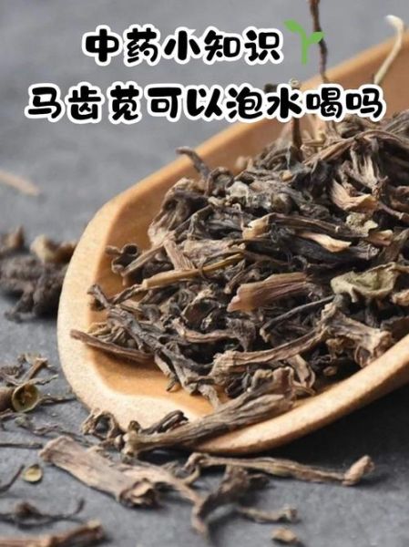 马齿苋煮水洗头能治脱发吗_马齿苋洗头多久见效-第1张图片-山城妙识