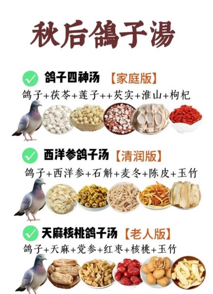 鸽子汤怎样炖好喝_鸽子汤炖多久最营养-第3张图片-山城妙识 鸽子汤怎样炖好喝_鸽子汤炖多久最营养-第3张图片-山城妙识